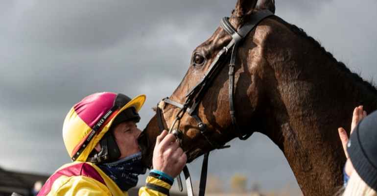 Sample Widgets | Navanracecourse.ie