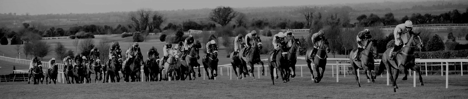 Sample Widgets | Navanracecourse.ie