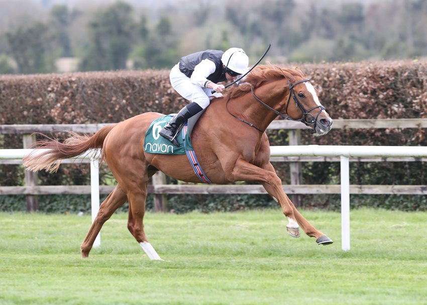 | Navanracecourse.ie