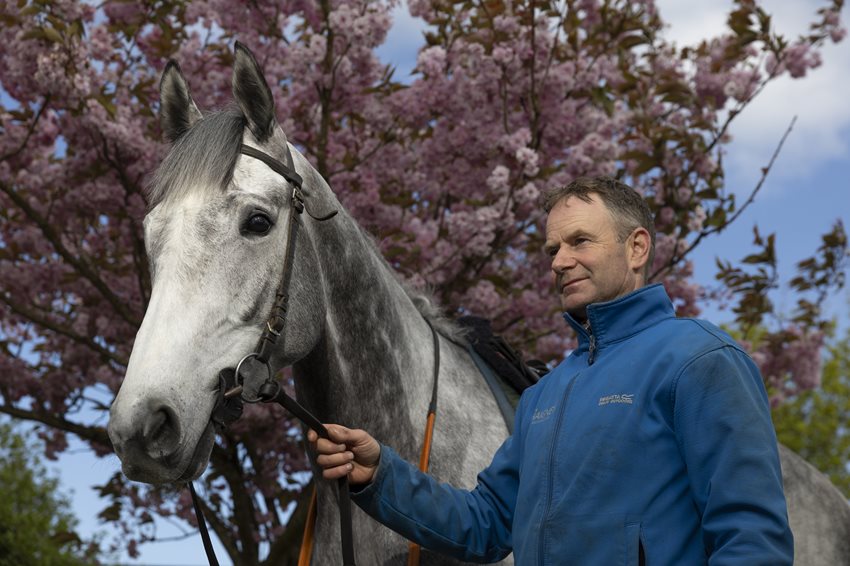 | Navanracecourse.ie